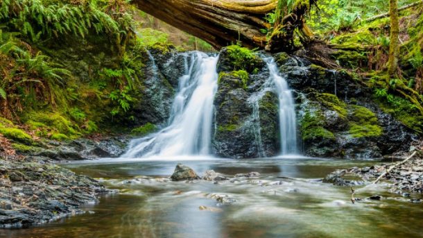 Getting out in Nature | Understanding Voices